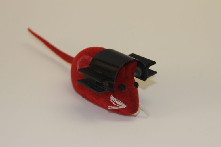 Pulse oximeter fo sensor trans cranial form, mouse - SAII - Instruments ...